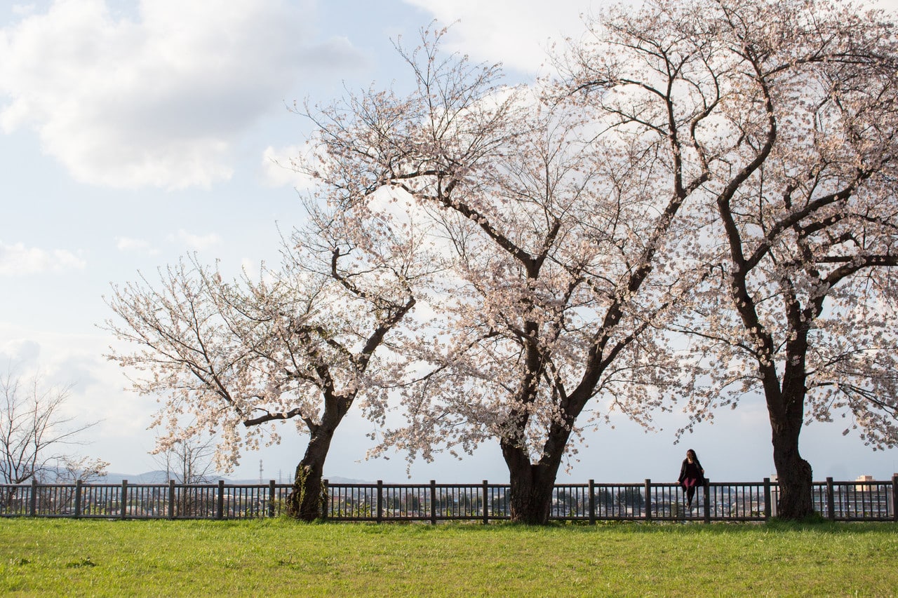Training to be a life-long gospel worker - OMF | Mission among East ...