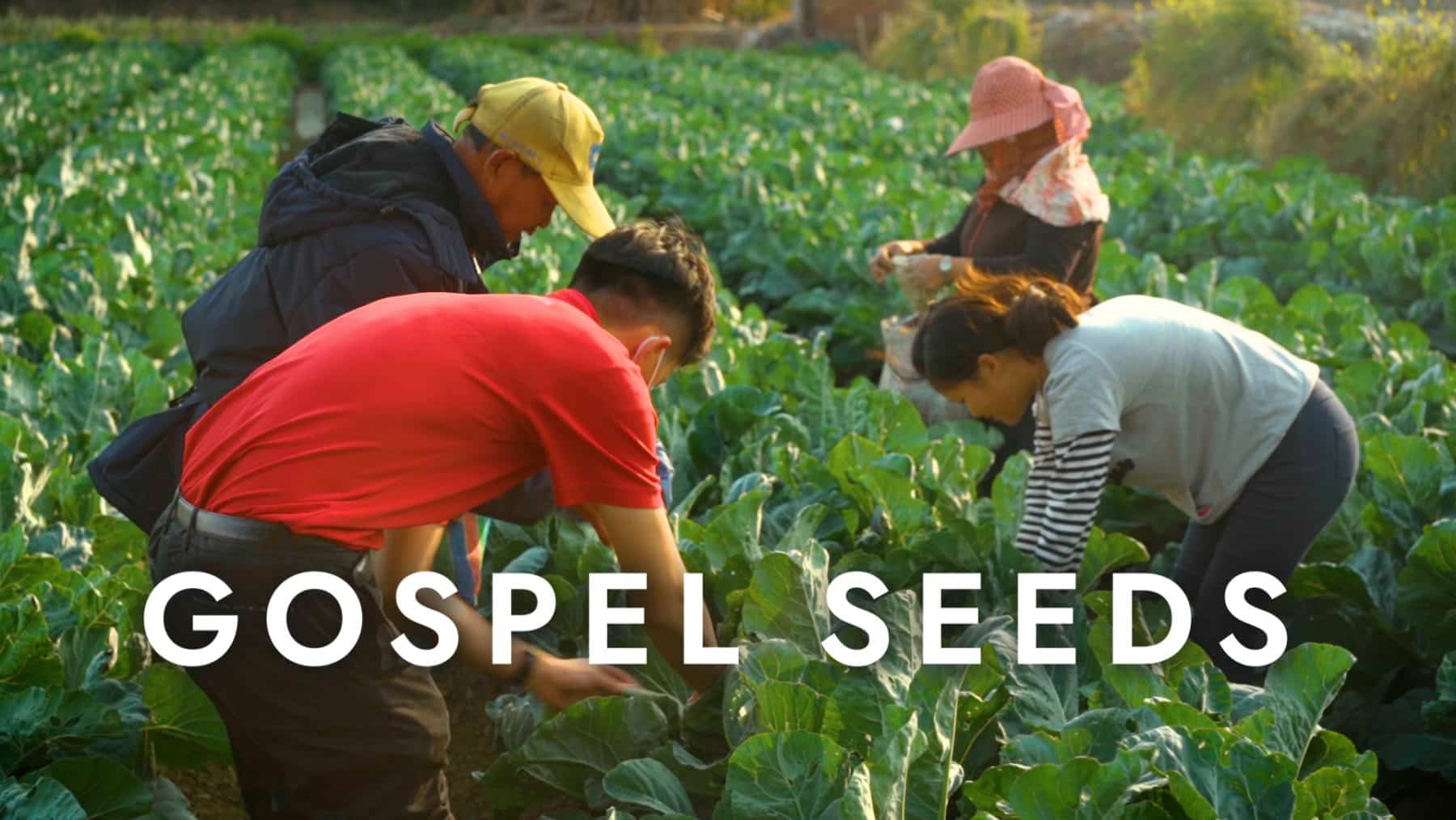 Gospel Seeds (Video & Discussion Questions Resource) - OMF | Mission among East Asia’s people